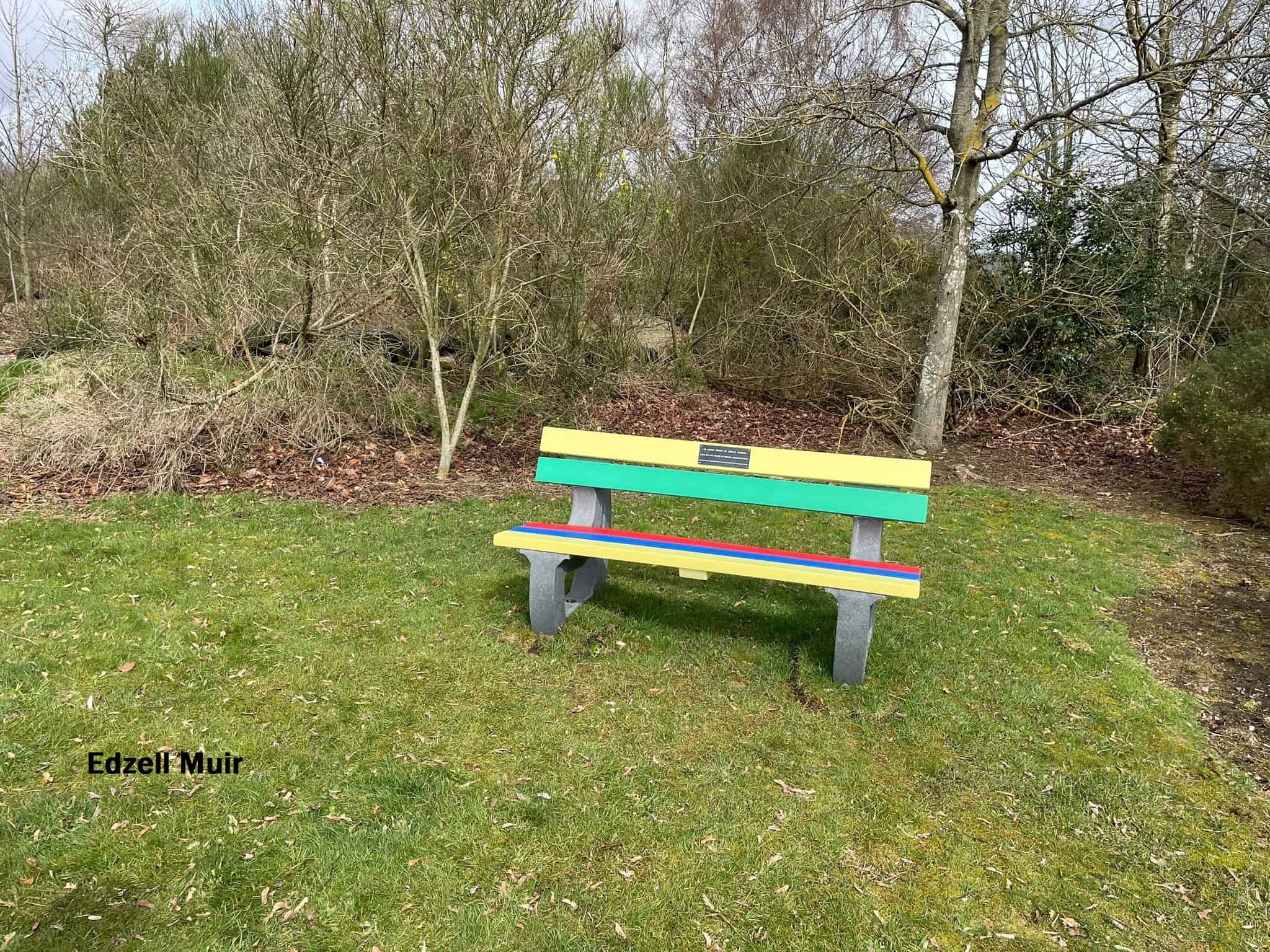 Buddy Benches – Brechin Healthcare Group